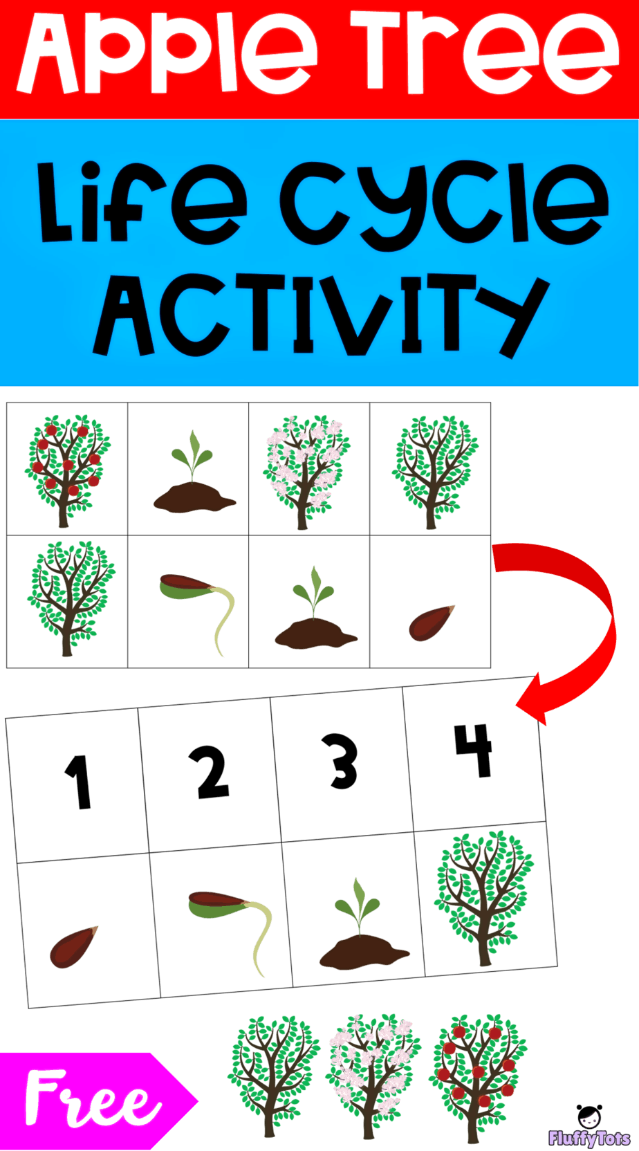 Apple Tree Life Cycle Activity : FREE 2 Sequencing Printable - FluffyTots