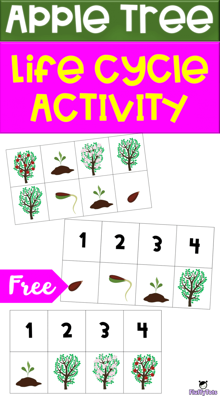 Apple Tree Life Cycle Activity : FREE 2 Sequencing Printable - FluffyTots