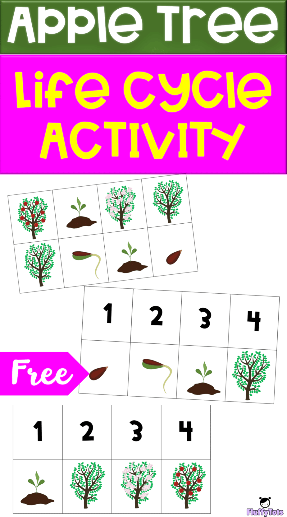 Apple Tree Life Cycle Activity : FREE 2 Sequencing Printable - FluffyTots