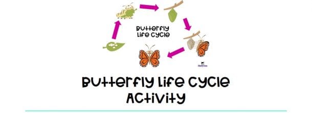 Frog Life Cycle Activity : FREE 6 Sequence Activity for Toddlers and ...