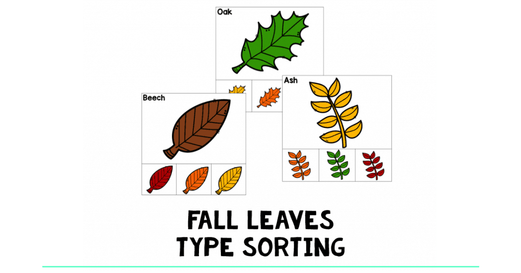 Fall Leaves Type Sorting Activity : FREE 3 Types of Leaves - FluffyTots