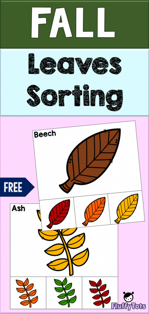 Fall Leaves Type Sorting Activity : FREE 3 Types of Leaves - FluffyTots