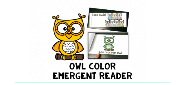 Owl Color Emergent Reader : FREE 11 Color Words - FluffyTots