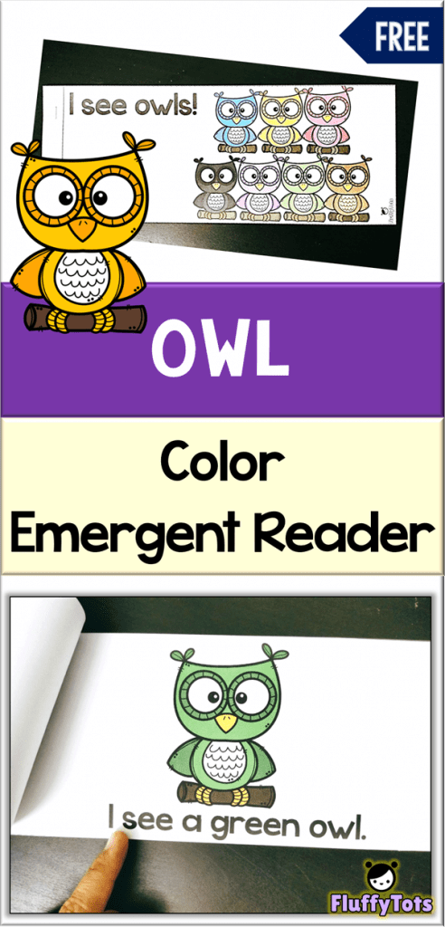 Owl Color Emergent Reader : FREE 11 Color Words - FluffyTots