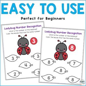 Fun and Easy Bugs 1 to 10 Number Recognition for Preschool Kids ...